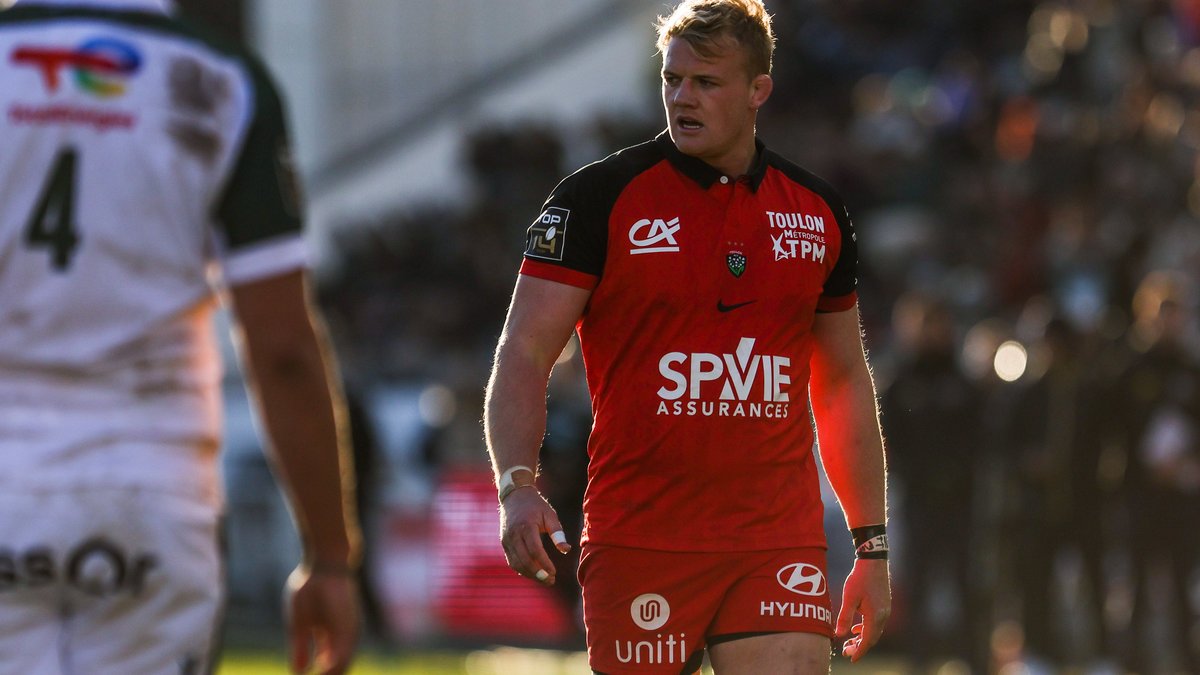 Champions Cup - David Ribbans (Toulon) de retour à Northampton face aux ...