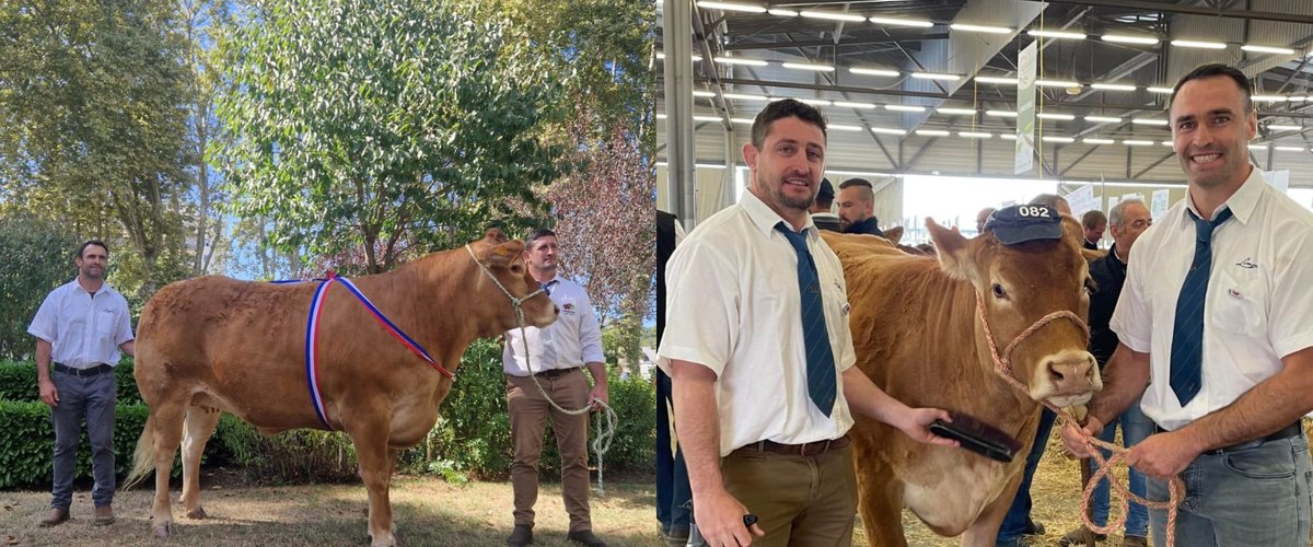 Reportage. "Je suis beaucoup moins stressé que j’ai pu l’être" : Thomas ...